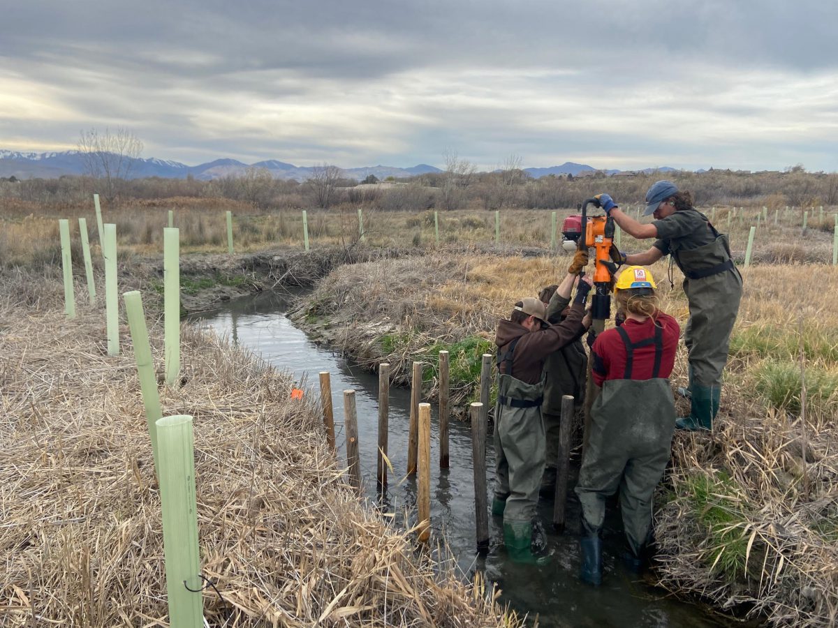 Beaver Dam Analog Installation | Utah DNR – FFSL (Forestry, Fire and ...
