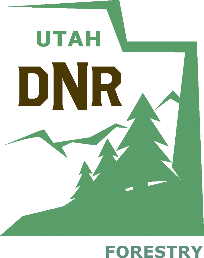 2021 UTAH WILDFIRE ANNUAL REPORT | Utah DNR – FFSL (Forestry, Fire and ...